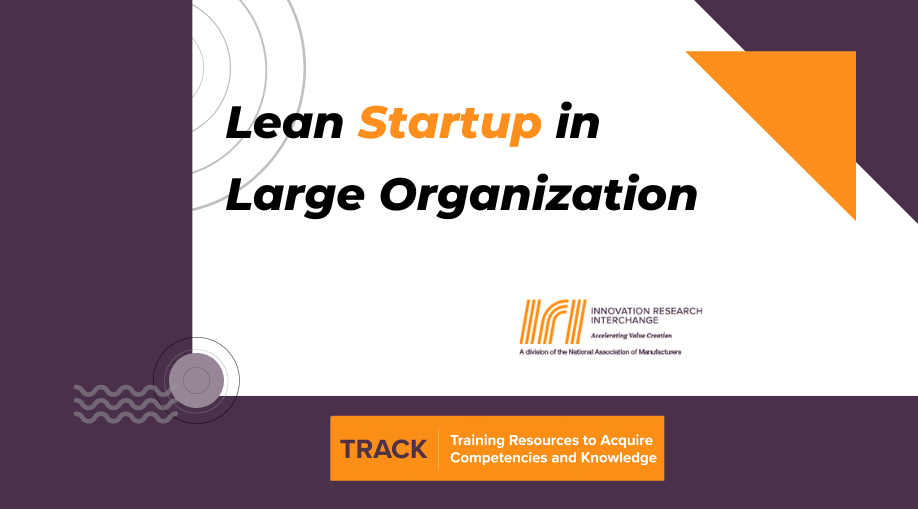 TRACK Workshop: Lean Startup in Large Organizations - Innovation ...